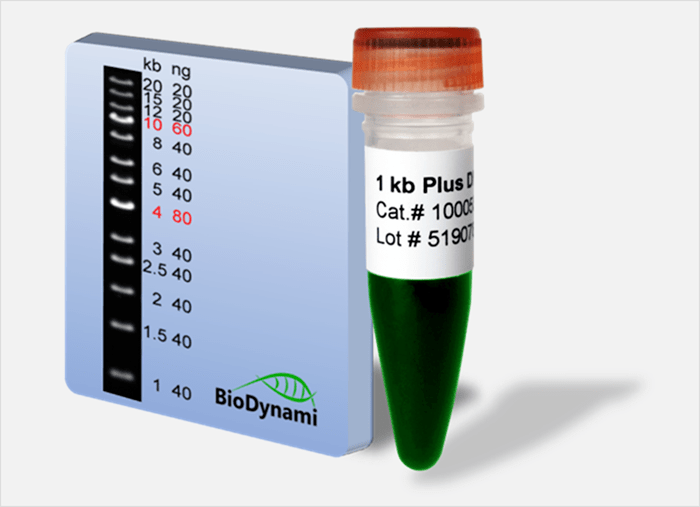 1 kb plus DNA Ladder — Custom Science Ltd